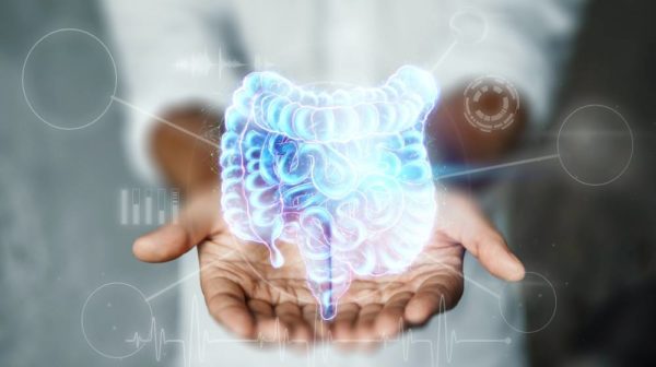 What Organs Are On The Left Side Of Your Body | 9 Easy Signs You Need ...