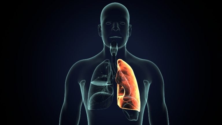 What Organs Are On The Left Side Of Your Body | 9 Easy Signs You Need ...
