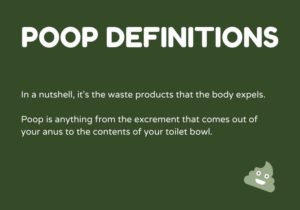 13 Different Types Of Poop | 13 Shocking Things Different Kinds Of Poop ...
